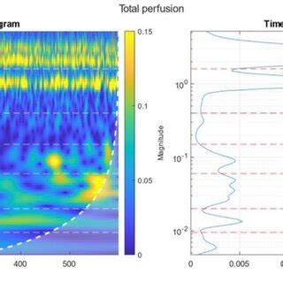 Example Of Magnitude Scalogram And The Timeaveraged Wavelet Spectrum