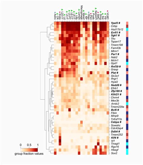Analysis Of Cell Type Specificity Of The Expression Of Genes Download Scientific Diagram