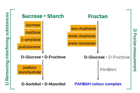 Fructan Assay Kit Measurement Of Fructan In Plants Food Megazyme