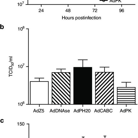 Enzyme Expression Does Not Affect Virus Replication And Production A