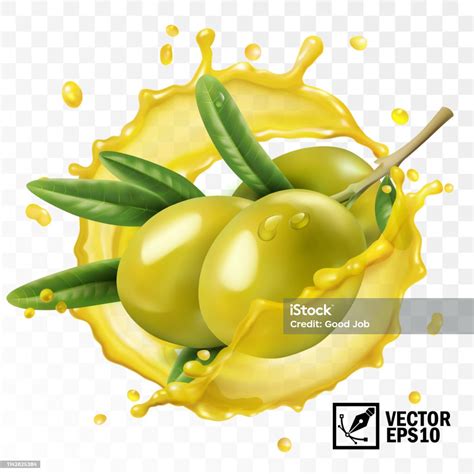 나뭇잎과 올리브 과일의 지점과 올리브 오일의 3d 현실적인 절연 투명 벡터 스플래시 3차원 형태에 대한 스톡 벡터 아트 및 기타 이미지 3차원 형태 가벼운 건강한
