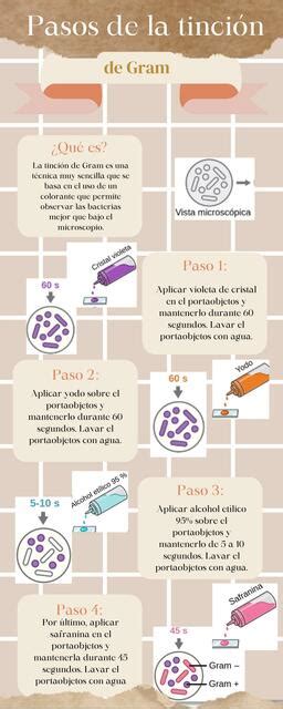 Tinción de Gram Ana Karen Chávez López uDocz