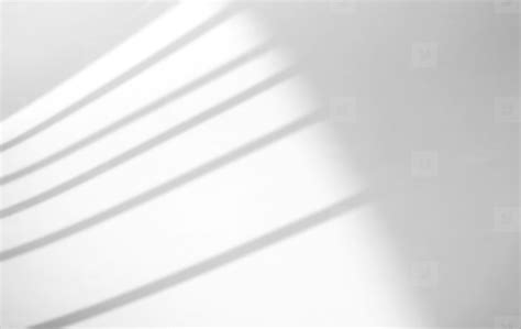 Window Natural Shadow Overlay Effect On White Texture Background Photo