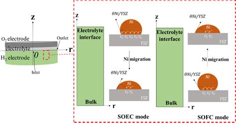 understanding the ni migration in solid oxide cell a coupled