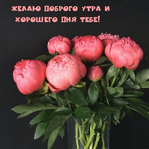 Желаю доброго утра и хорошего дня тебе