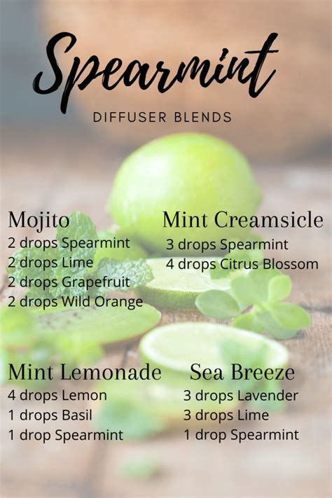 Spearmint Essential Oil Uses And Benefits Spark Naturals Blog