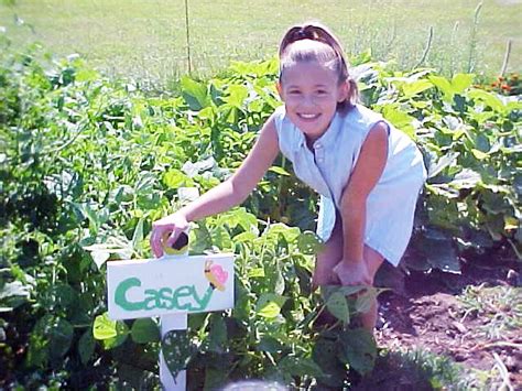 From Garden N Grow To Wildflower Grove Kirksville Daily Express