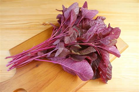 Indian Green Leafy Vegetables