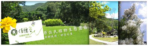 佳德谷原住民植物生活教育園區 佳德谷有機香草園
