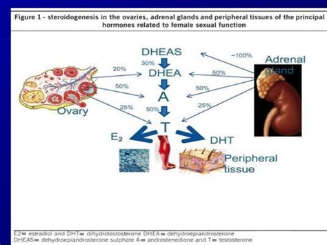 Hirsutism For Undergraduate
