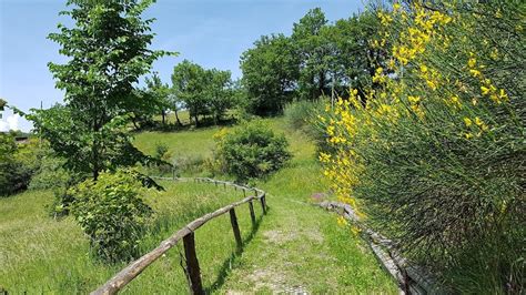 LAS MEJORES excursiones de un día de Borgo val di Taro