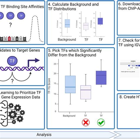 General Overview Of The Tf Prioritizer Pipeline Tf Prioritizer Uses Download Scientific