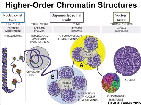 13genome Assembly 4 Bch709 Introduction To Bioinformatics