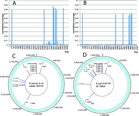A And B Normalized Coverage Across Overlapping By 1000 Bp 2000 Download Scientific Diagram