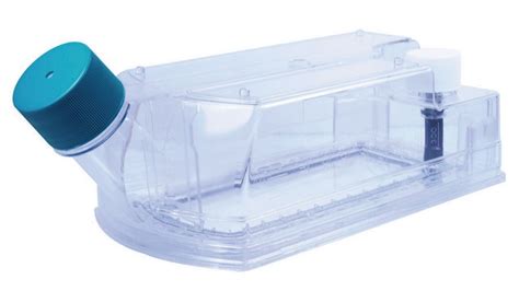 T Flask Cell Culture Sigma Aldrich