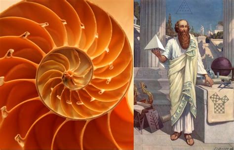 Could Arithmetic Be A Universal Truth Waiting To Be Discovered Ancient Pages