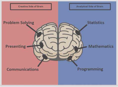 Two Sides Brain Hidden Insights