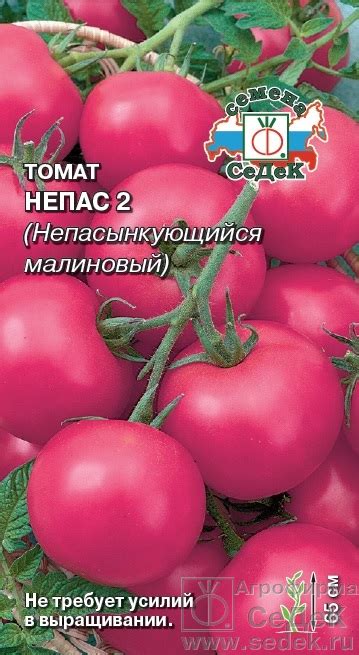 Томат Непас 2 (Непасынкующийся малиновый): описание сорта помидоров ...
