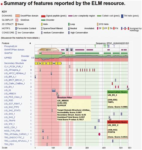 Elm Motif Detection Pipeline Output Page The Top Legend Explains The
