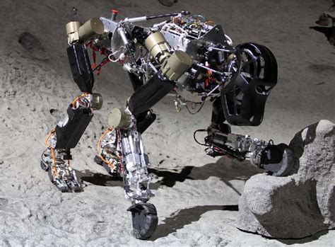 Figure 1 From Distributed Computation In A Quadrupedal Robotic System