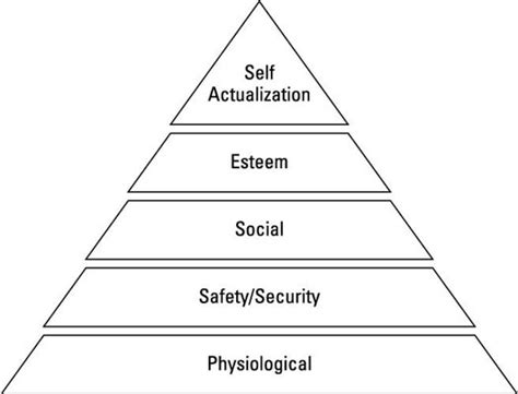 Motivation Theories You Should Know For The Pmp Certification Exam Dummies