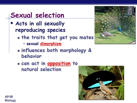 MECHANISMS OF EVOLUTION What Changes Populations Ppt Download