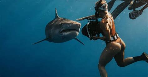 How to Avoid Shark Attacks While Scuba Diving: 2025 Expert Safety Tips & Practices