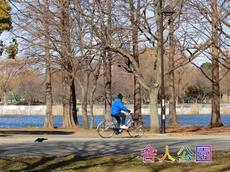 舎人公園東京都足立区の広大な都立公園水鳥やカワセミの公園舎人とは何だ川口事務所と大宮事 西村治彦の日記