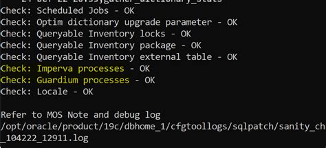 oracle database datapatch parameters and pre requisite check sanity