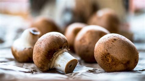 ‘death Cap Mushroom Poisoning Australian At Center Of Case Says She