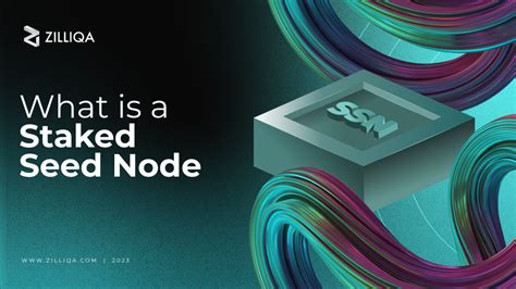 What Is A Staked Seed Node Ssn
