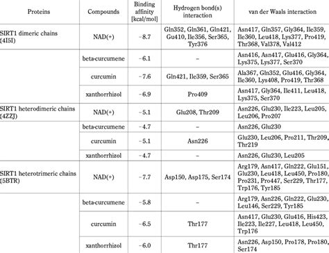 The Binding Affinities And Amino Acid Interactions Over Molecular