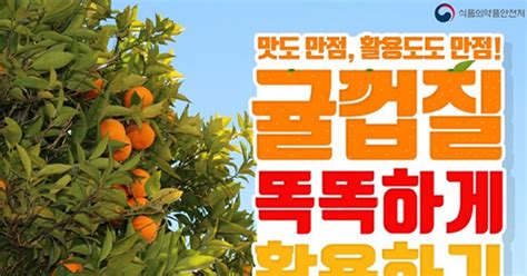 손난로부터 기름때 제거까지 귤껍질 활용법 3가지