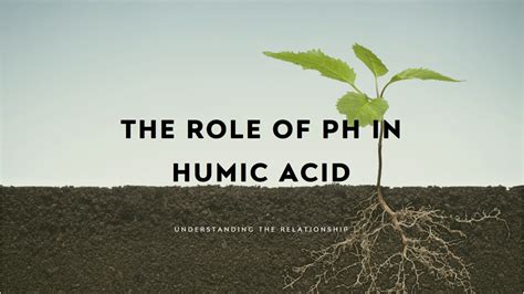 The Role Of Ph In Humic Acid Formation