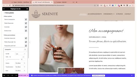 Comment Personnaliser Les Polices Gloables Du Template Kit Elementor