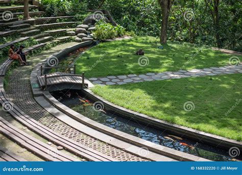 Bosque De Monos En Ubud Bali Indonesia Imagen Editorial Imagen De