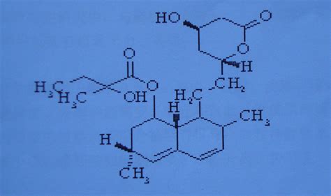 What Is The Function Of An Ester Starsbiotec