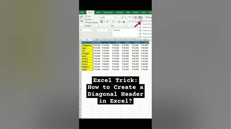 Excel Trick How To Create A Diagonal Header In Excel Youtube