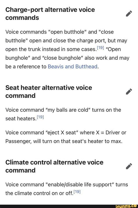 Charge Port Alternative Voice Commands Voice Commands Open Butthole And Close Butthole Open