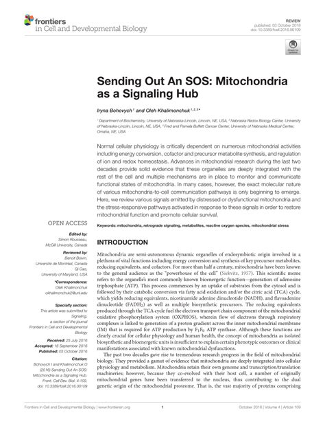 Pdf Sending Out An Sos Mitochondria As A Signaling Hub
