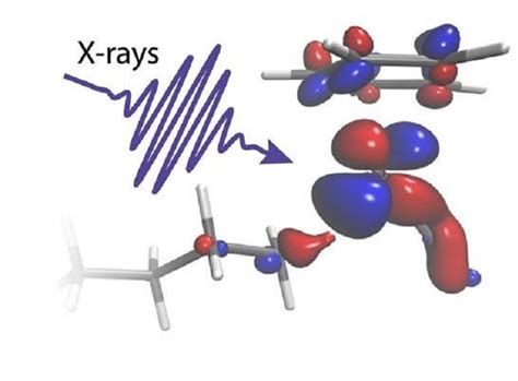 Tender X Rays Show How One Of Natures Strongest Bonds Breaks
