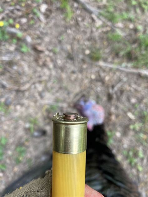 Bulged Shells On Brass Face After Firing Shotgun Forum