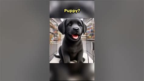 Memes I Stole From Tik Tok 45 Youtube