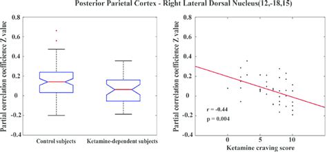 Functional Connectivity Patterns Between The Posterior Parietal Area