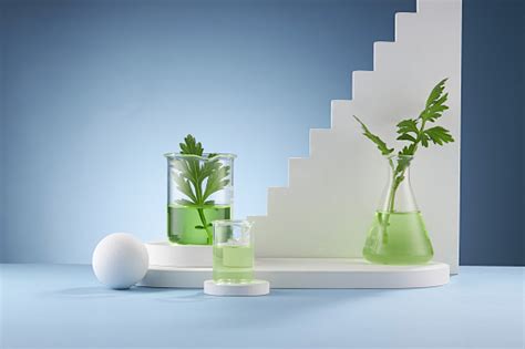 화학 실험실에서 Mugwort 추출 연구 흰색 연단 및 건강에 자연의 계단 개발 제품 스탠드를위한 빈 공간 0명에 대한 스톡