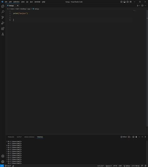 Python Bug Issue Microsoft Vscode GitHub