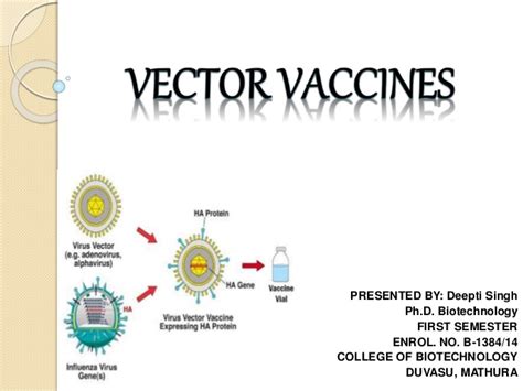 Vector In Biotechnology At Vectorified Collection Of Vector In