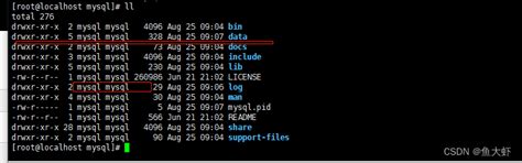 Centos安装mysql 解压版完整教程（按步骤傻瓜式安装contos 安装解压版mysql Csdn博客