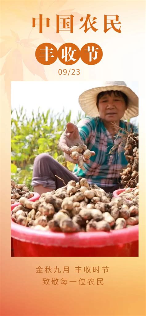 【金秋时节庆丰收】喜获丰收乐开颜 共赏南皮好“丰”光！澎湃号·政务澎湃新闻 The Paper