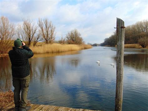 Završen Međunarodni Zimski Popis Ptica Vodenih Staništa Agro Tv
